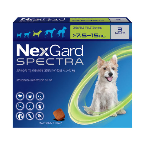 NexGard SPECTRA® | Complete Parasitic Protection Solution for Dogs