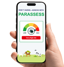 Bolehkah parasit menjangkiti manusia? | NexGard®